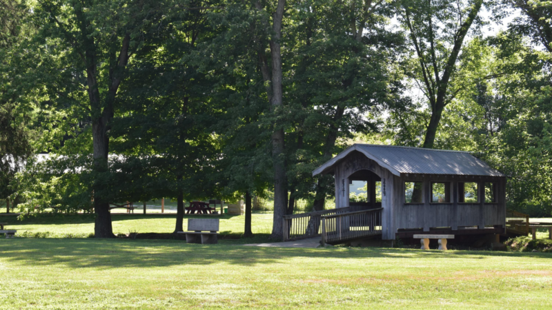 Springville Park - Limestone Country