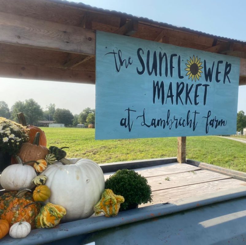 The Sunflower Market at Lambrecht Farm - Limestone Country